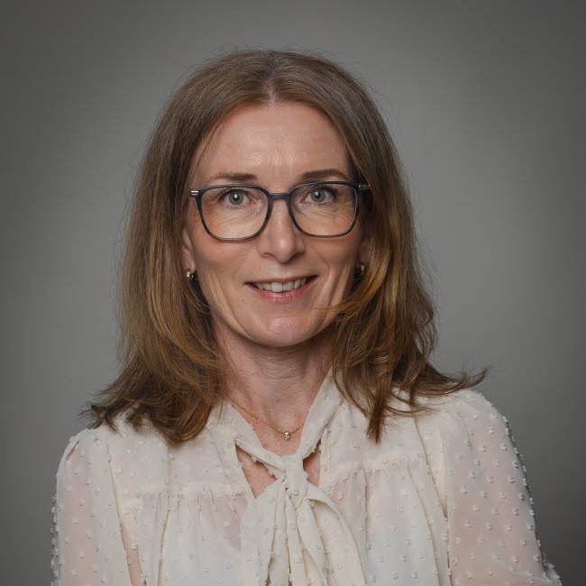 Organisation and management team | HL display