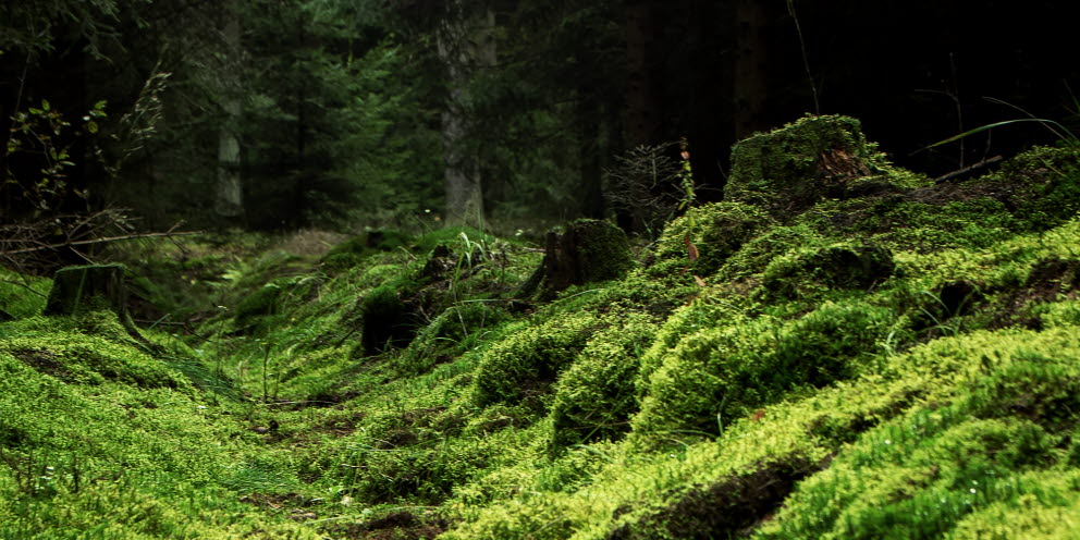 HL Display | The better shopping experience